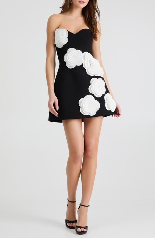 HELSI HELSI Gia Floral Appliqué Minidress